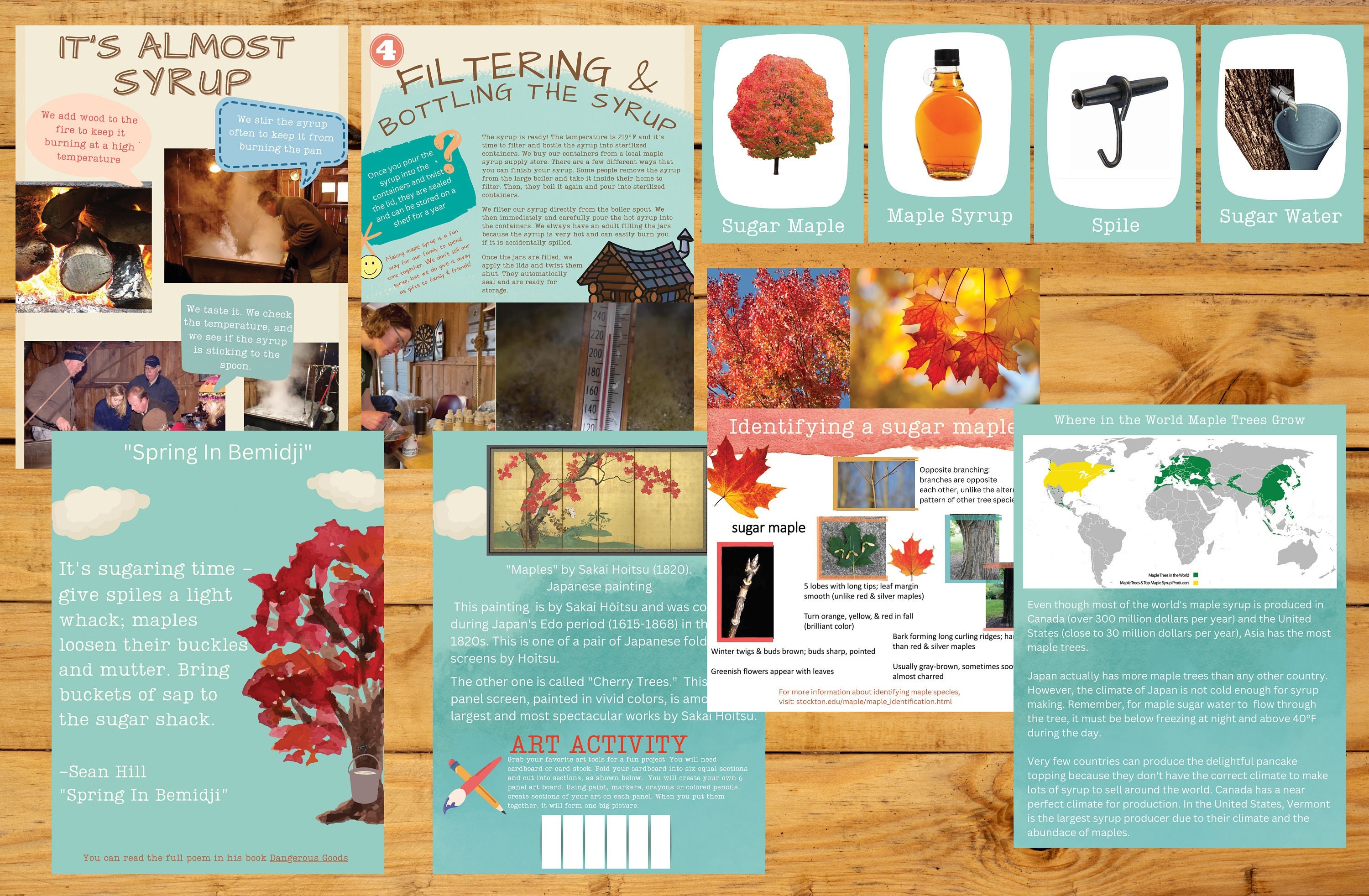 Maple Syrup Making Unit Study 25 Page Digital Printable Plus an MP4 ...