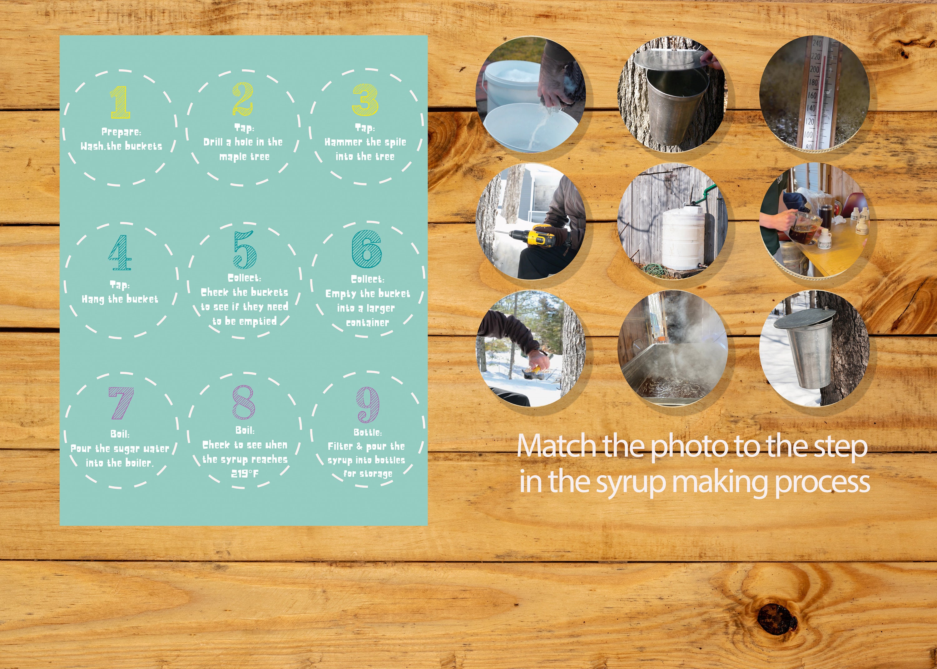 Maple Syrup Making Unit Study 25 Page Digital Printable Plus an MP4 ...
