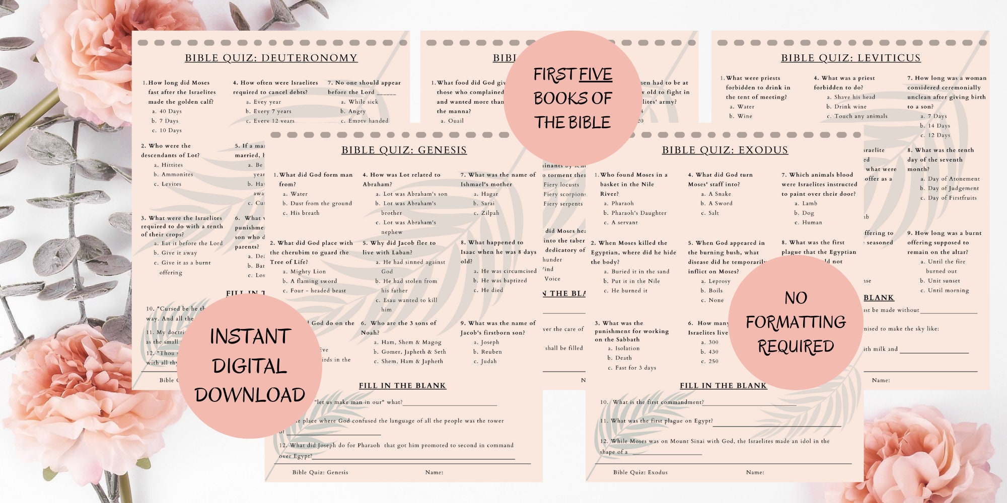 First 5 BOOKS of the BIBLE - BUNDLE of Quizzes - Bible Study - Bible ...