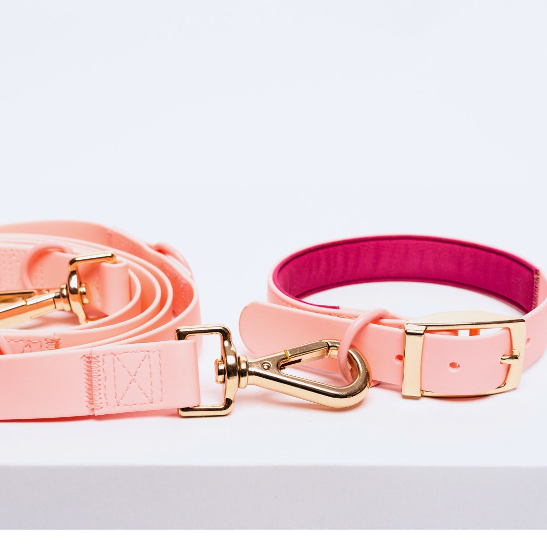 Waterproof + Comfort Padded PVC Luxury Collar + Multi-way Leash Set ...