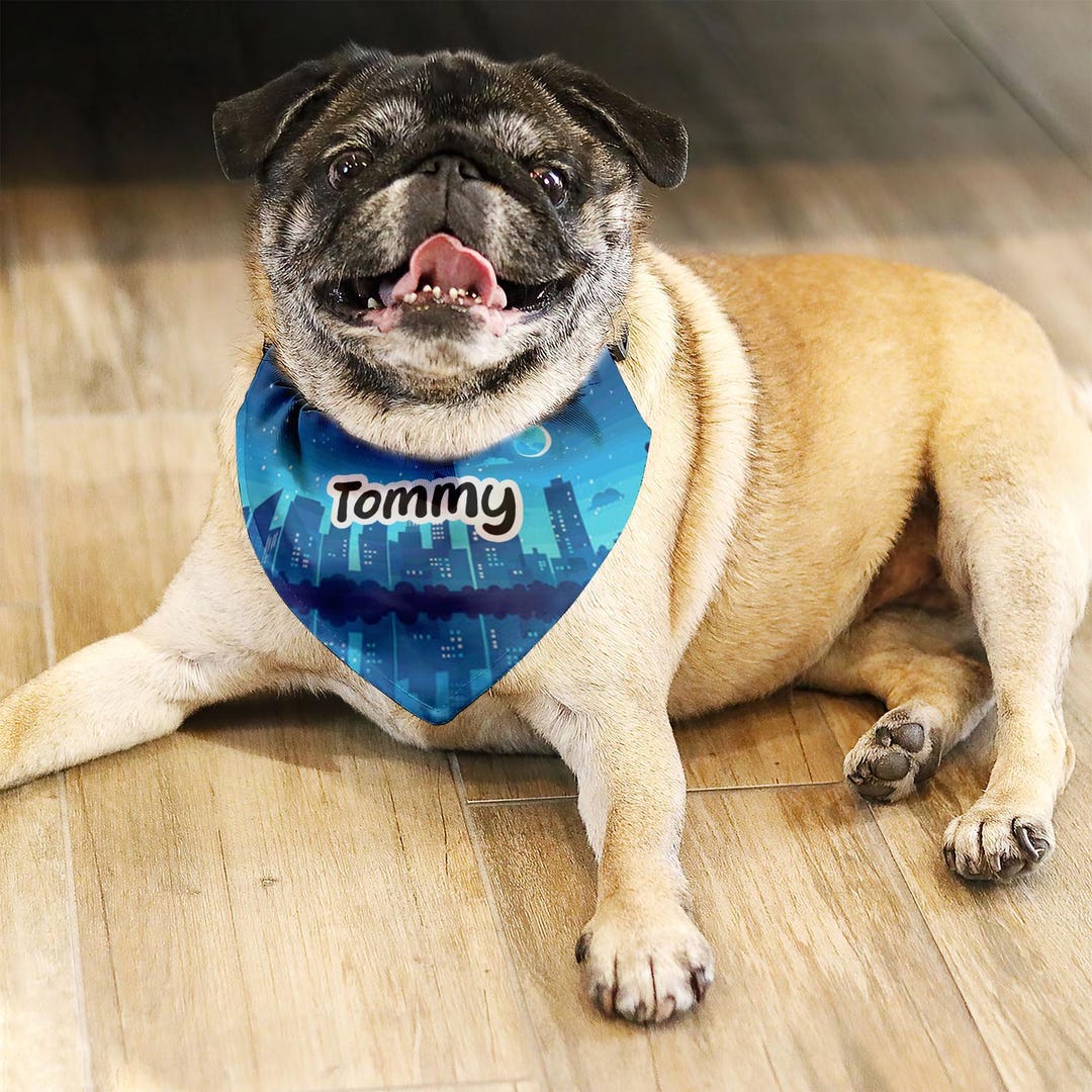 Custom Dog Bandana With Name, Dog Name Collar, Tie on Dog Bandanas ...