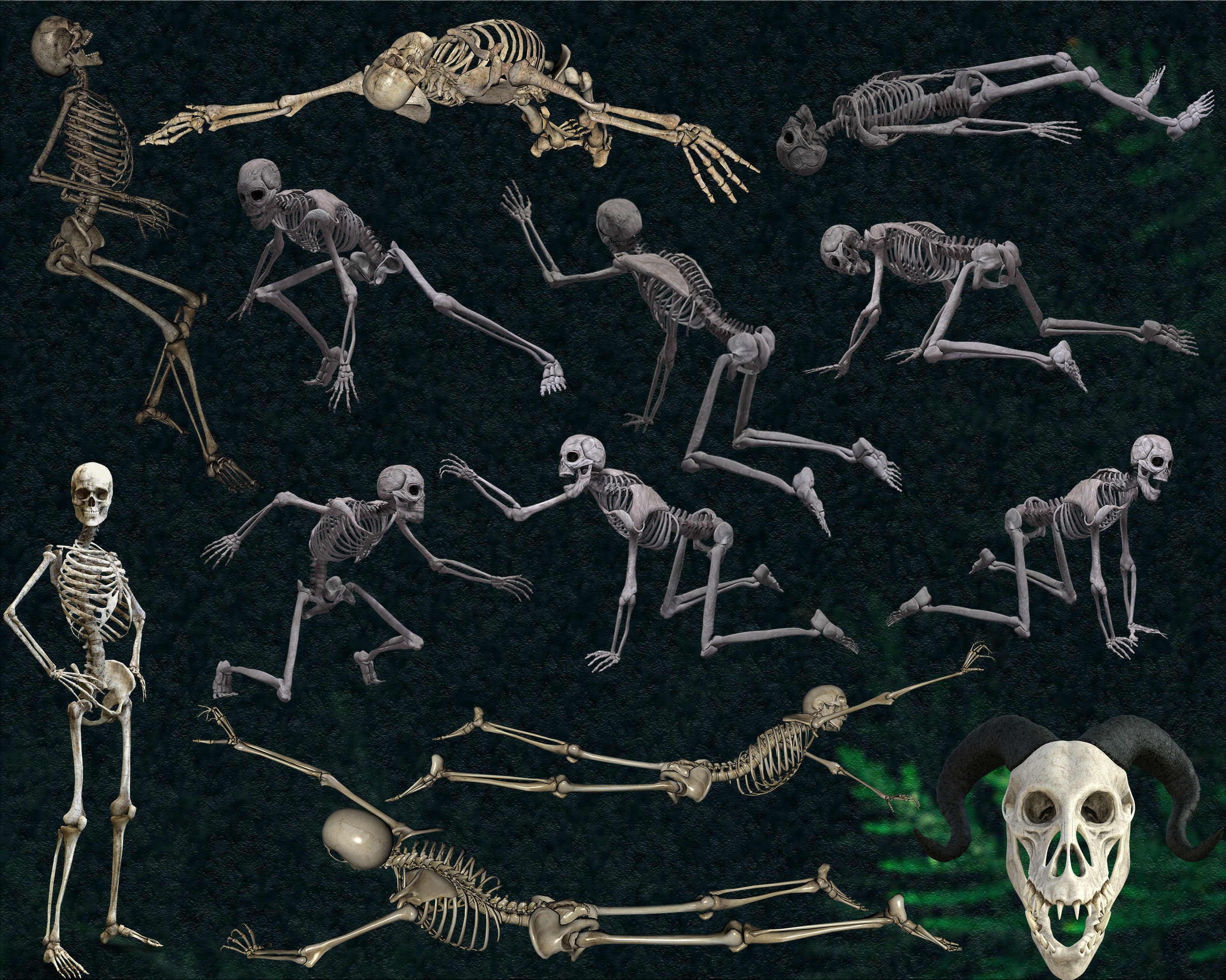 69 Skeleton Halloween Overlays, Skeleton Overlays, Skull Overlays ...