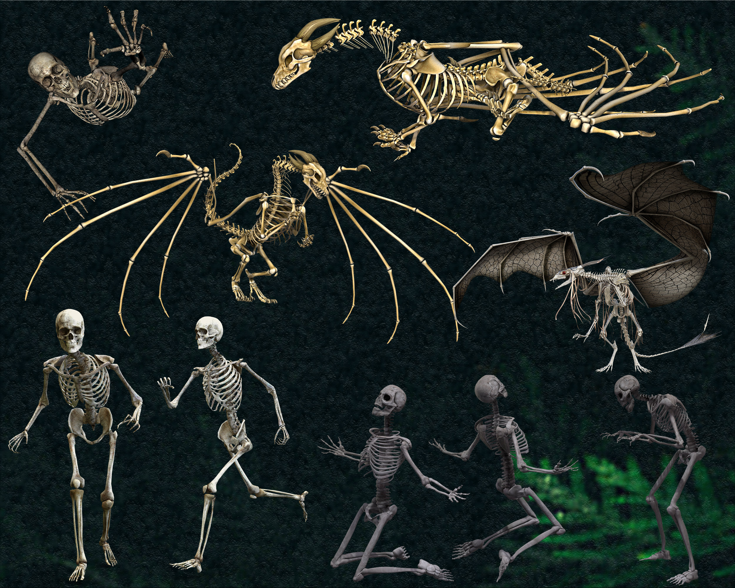 69 Skeleton Halloween Overlays, Skeleton Overlays, Skull Overlays ...