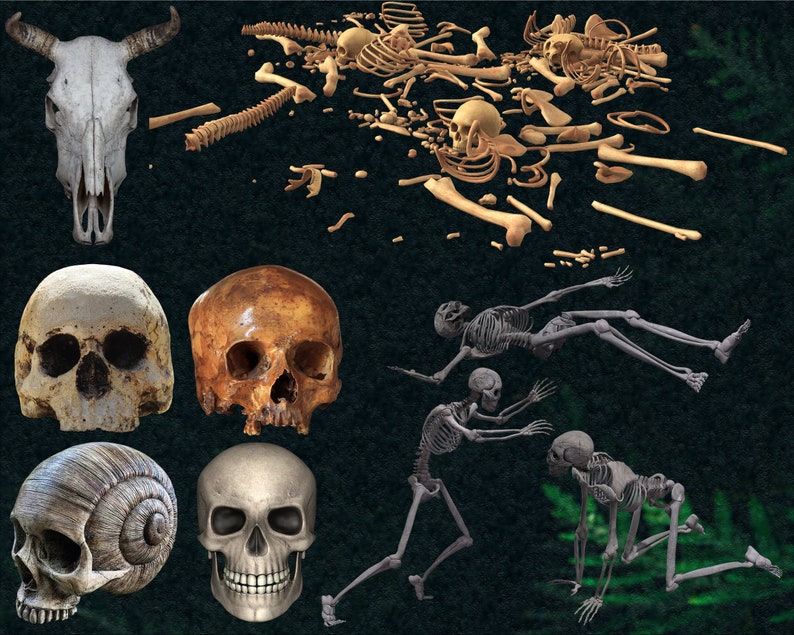 69 Skeleton Halloween Overlays, Skeleton Overlays, Skull Overlays ...