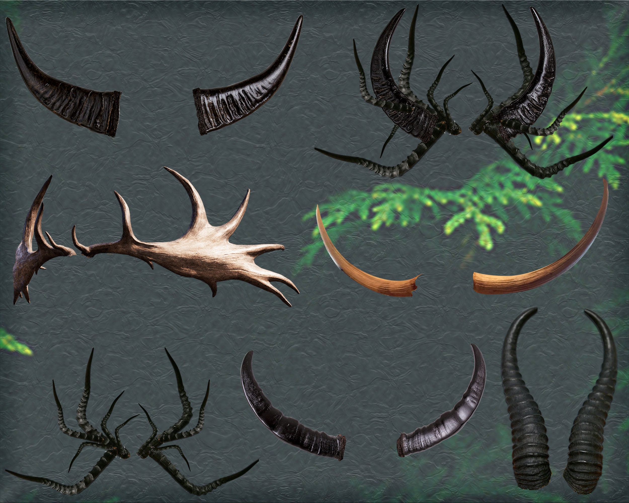 41 Horn Overlays, Animal Horns, Demon Horns, Devil Horns, Halloween ...