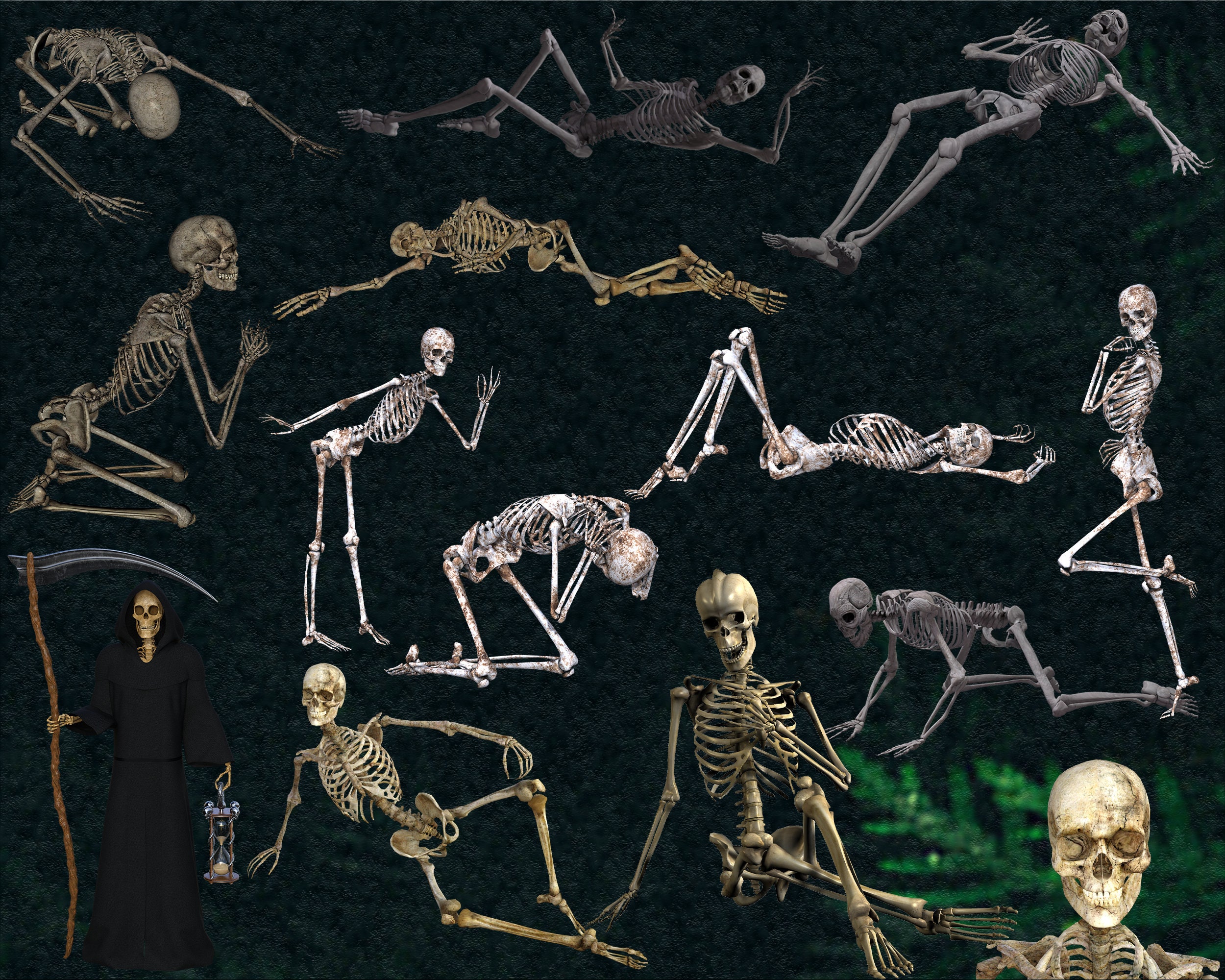 69 Skeleton Halloween Overlays, Skeleton Overlays, Skull Overlays ...