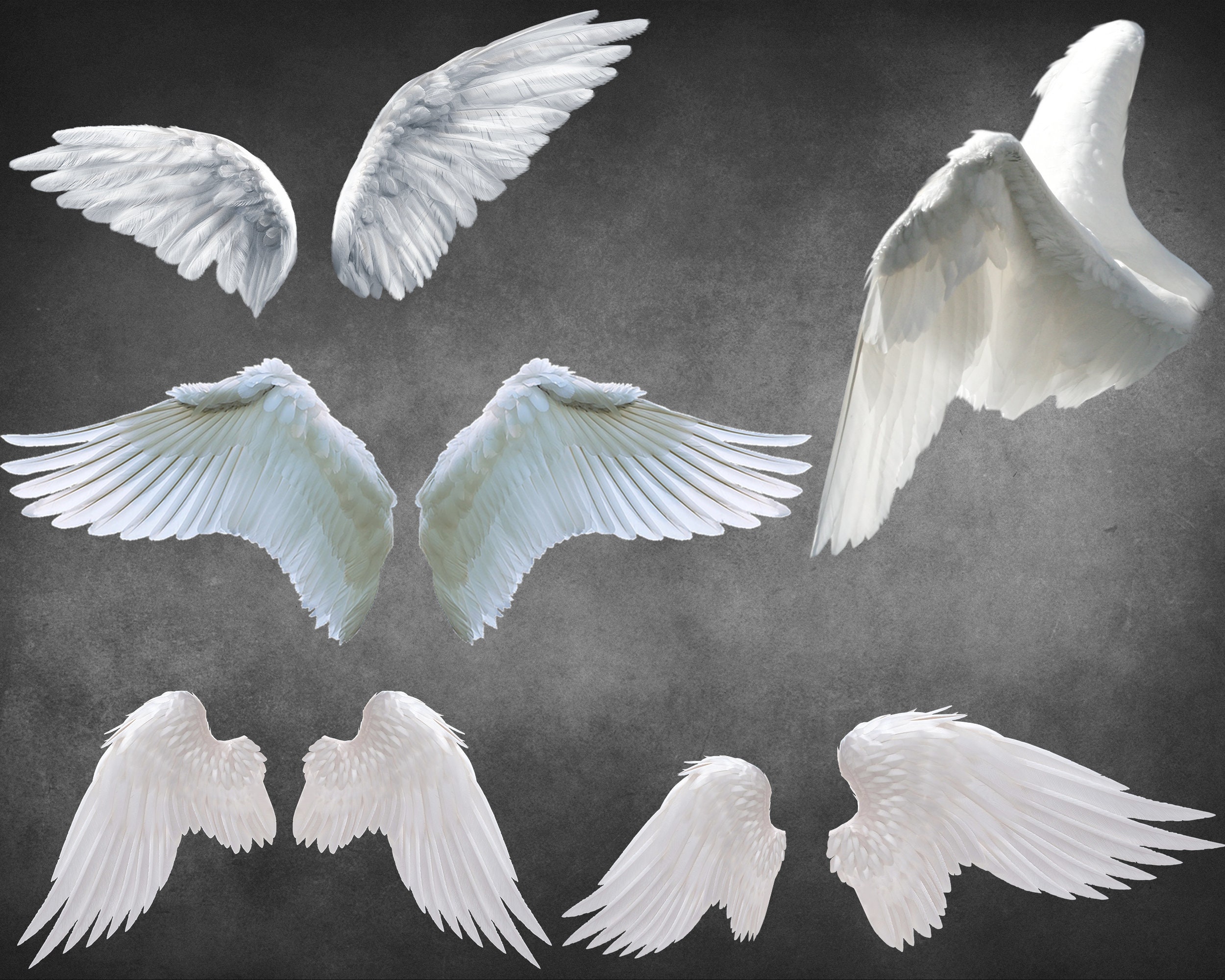 17 Angel Wings Overlays, Angel Feather Wings, Realistic Wings, Wings ...