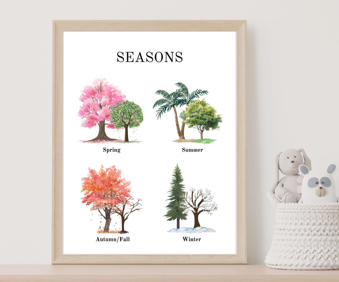 Seasons Learning Poster, Educational Posters, Preschool Learning ...