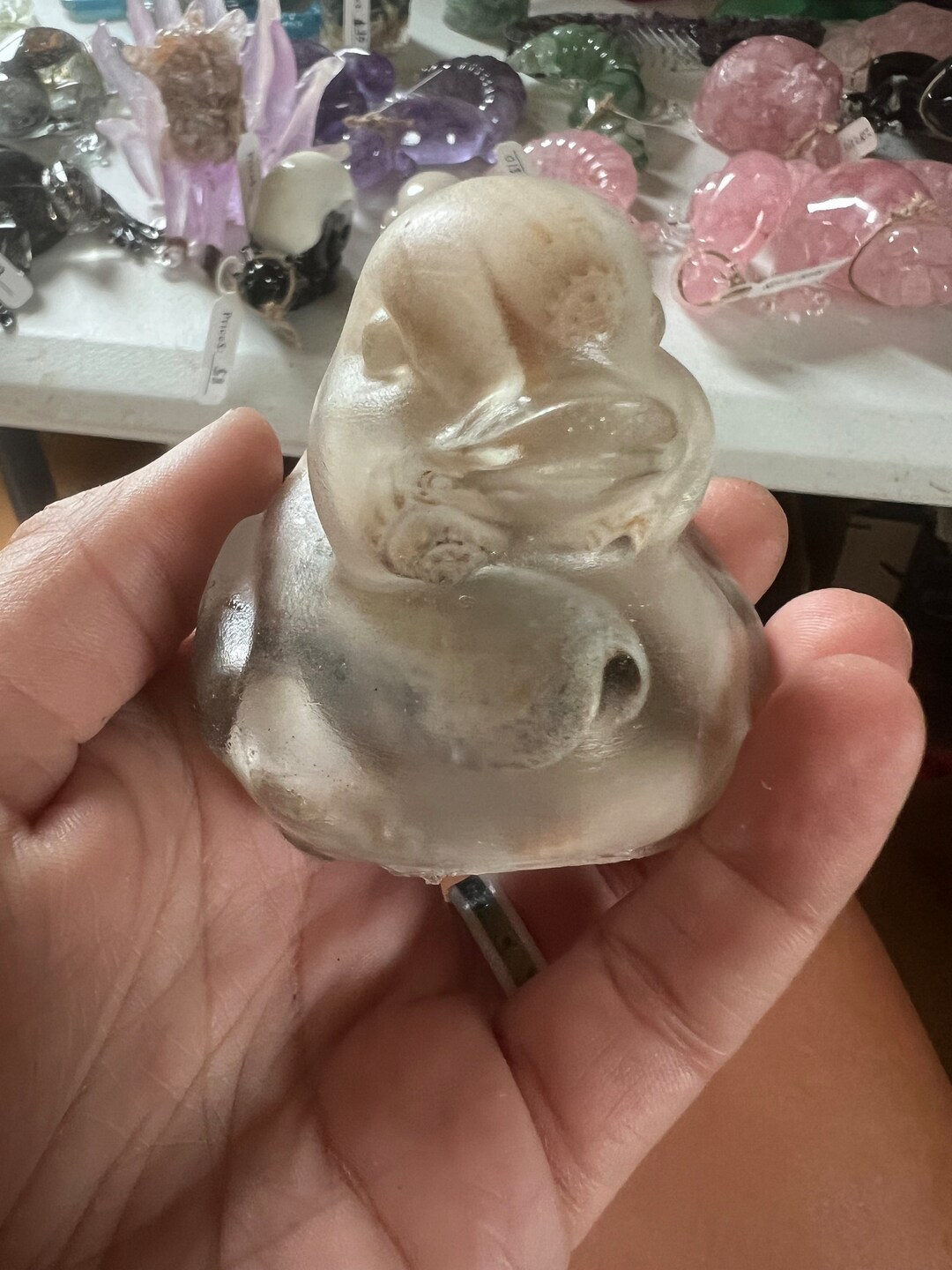 Seashell Duck - Etsy