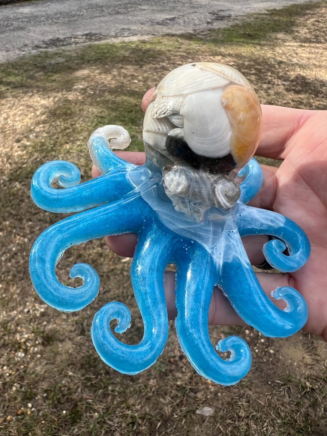 Octopus With Shells & Sand From Panama City Beach - Etsy