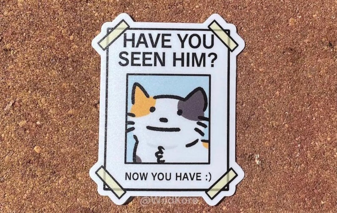 Have You Seen Him? 3" Cat Sticker - Furry Animal- Durable & Waterproof - Meme - Etsy