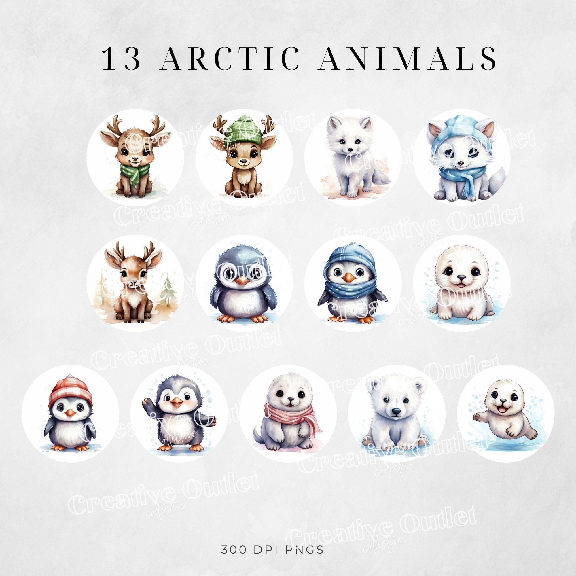 Arctic Animals Clip Art Bundle - Etsy
