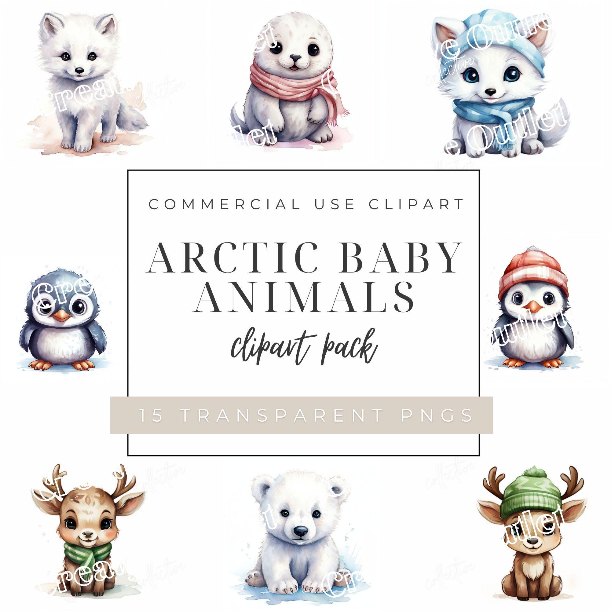 Arctic Animals Clip Art Bundle - Etsy