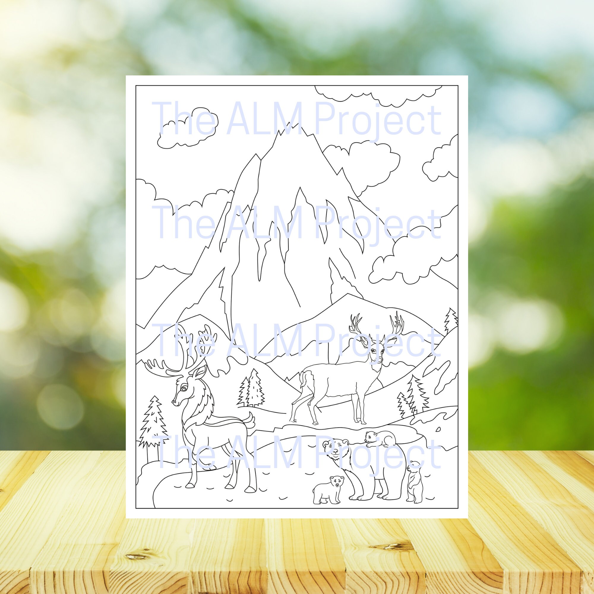 7 Nature Parks Kids Coloring Pages, Children Nature Parks Coloring Book ...