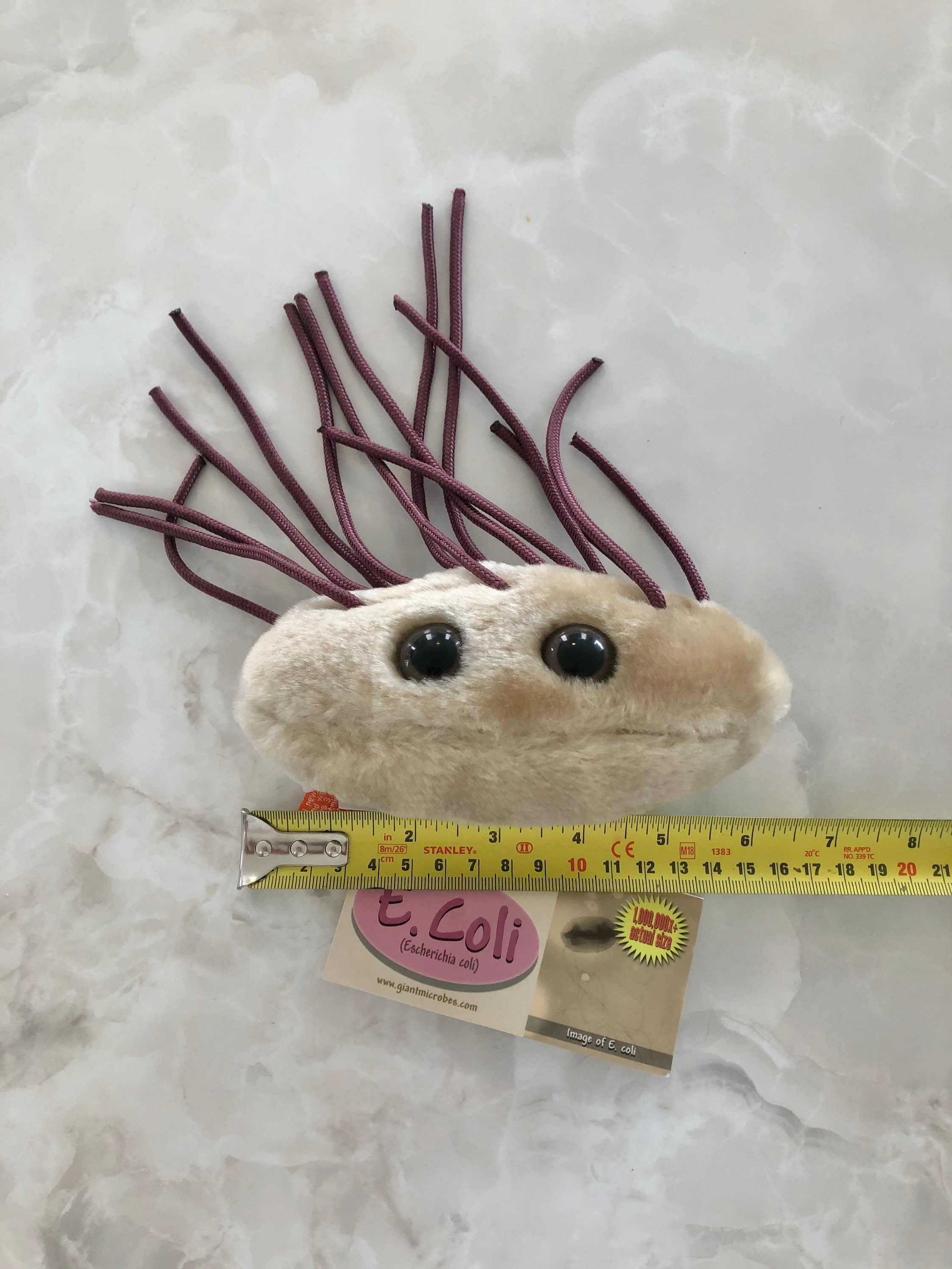 Backrooms Bacteria Plush at Alannah Macquarie blog