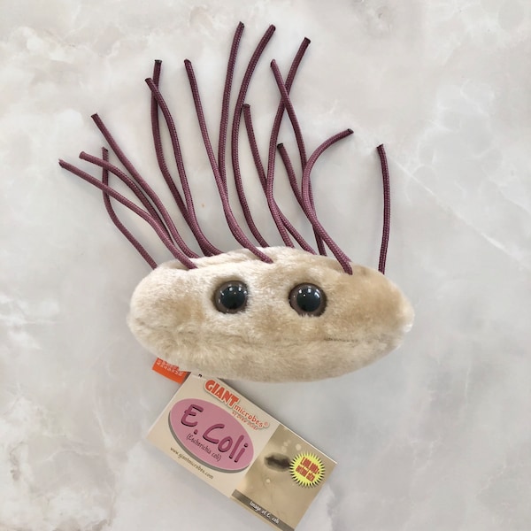 Giant Plush - Etsy