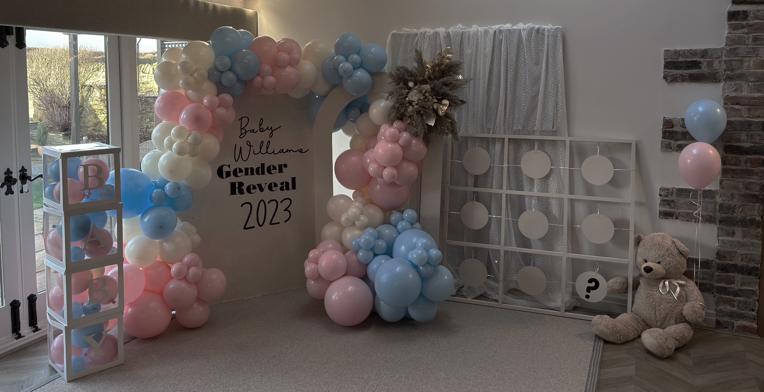 Gender Reveal Setup for Hire - Etsy