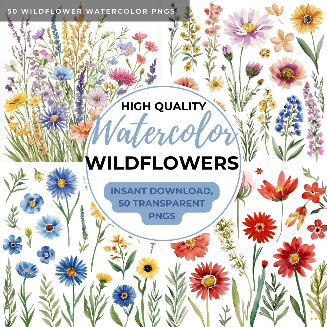 50 Wildflower Clipart Bundle, Watercolor Wildflower Png, Wildflower ...