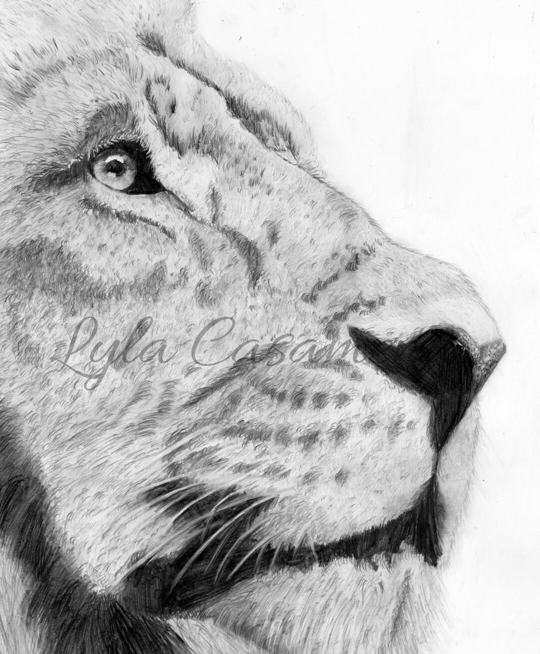 Graphite Drawing of Tiger/ Tiger Graphite Art/ INSTANT DIGITAL DOWNLOAD ...