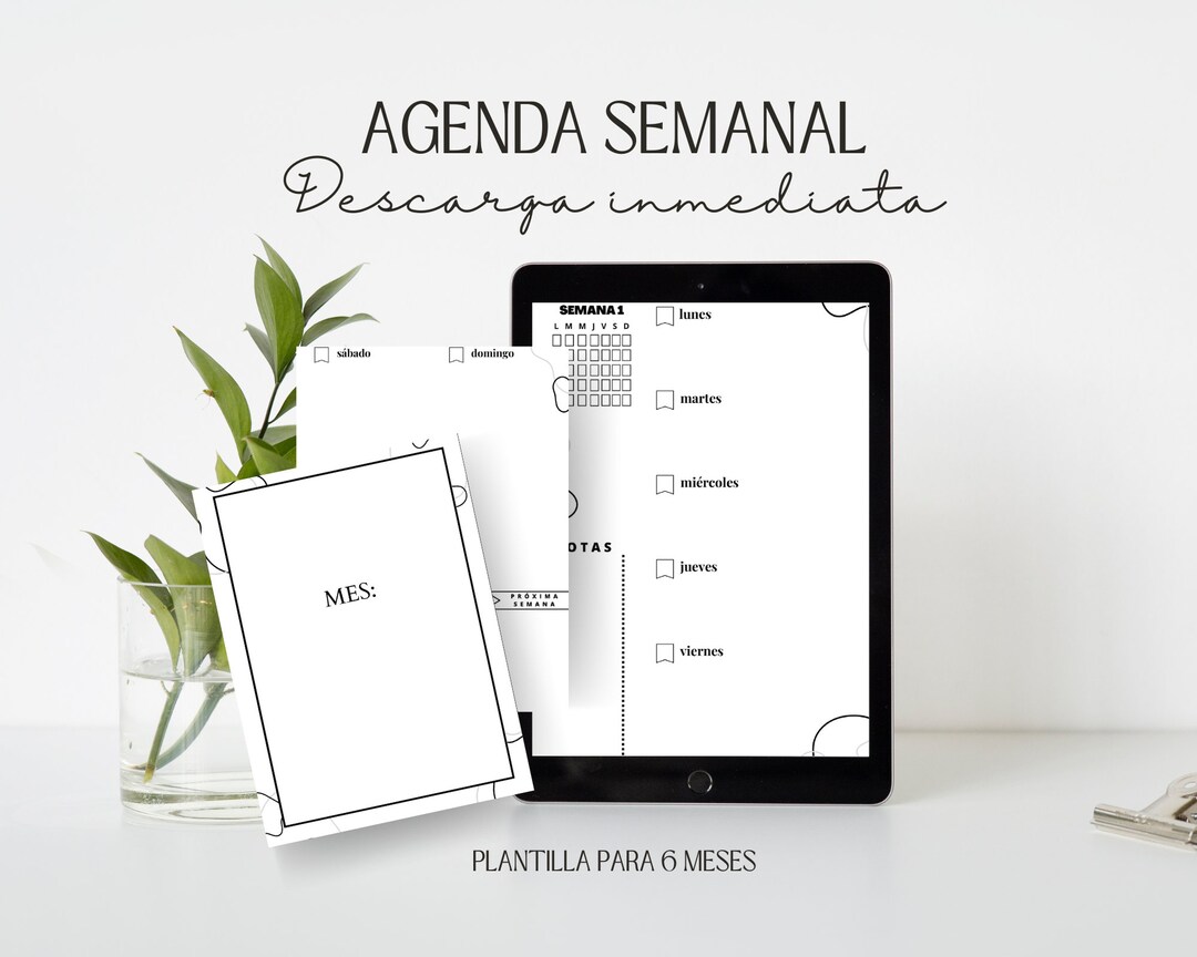 Weekly Agenda Week View Weekly Agenda 2 Weeks Views Agenda Printable ...