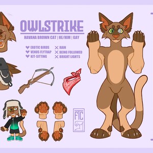 Complex Furry / Fursona Reference Sheet - Etsy