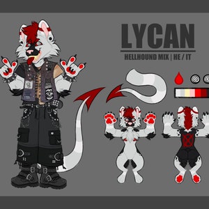 Simple Furry / Fursona Reference Sheet - Etsy