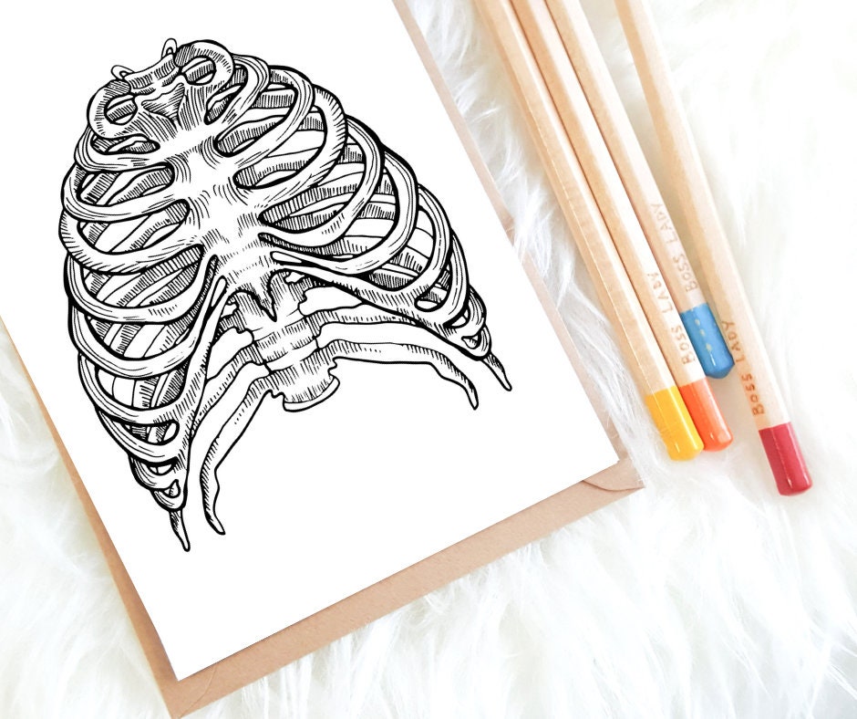 Anatomy Coloring Book, Adult Colouring Pages, Instant Download, Digital ...