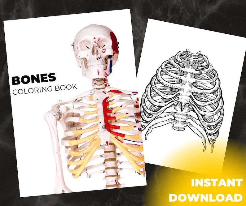 Anatomy Human Bones Colouring Book, Adult Colouring Pages, Halloween ...