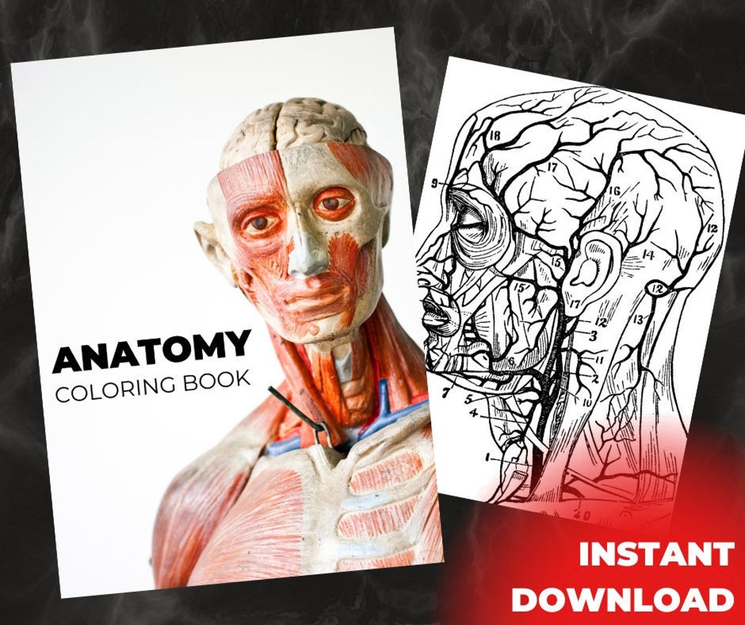 Anatomy Coloring Book, Adult Colouring Pages, Instant Download, Digital ...