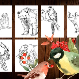 Animal Coloring Book, PDF Printable, 30 Pages, Forest and Savannah ...