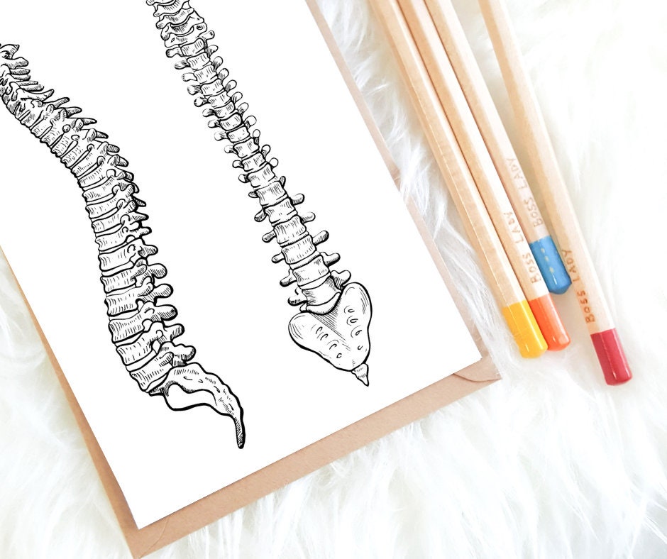 Anatomy Human Bones Colouring Book Adult Colouring Pages - Etsy