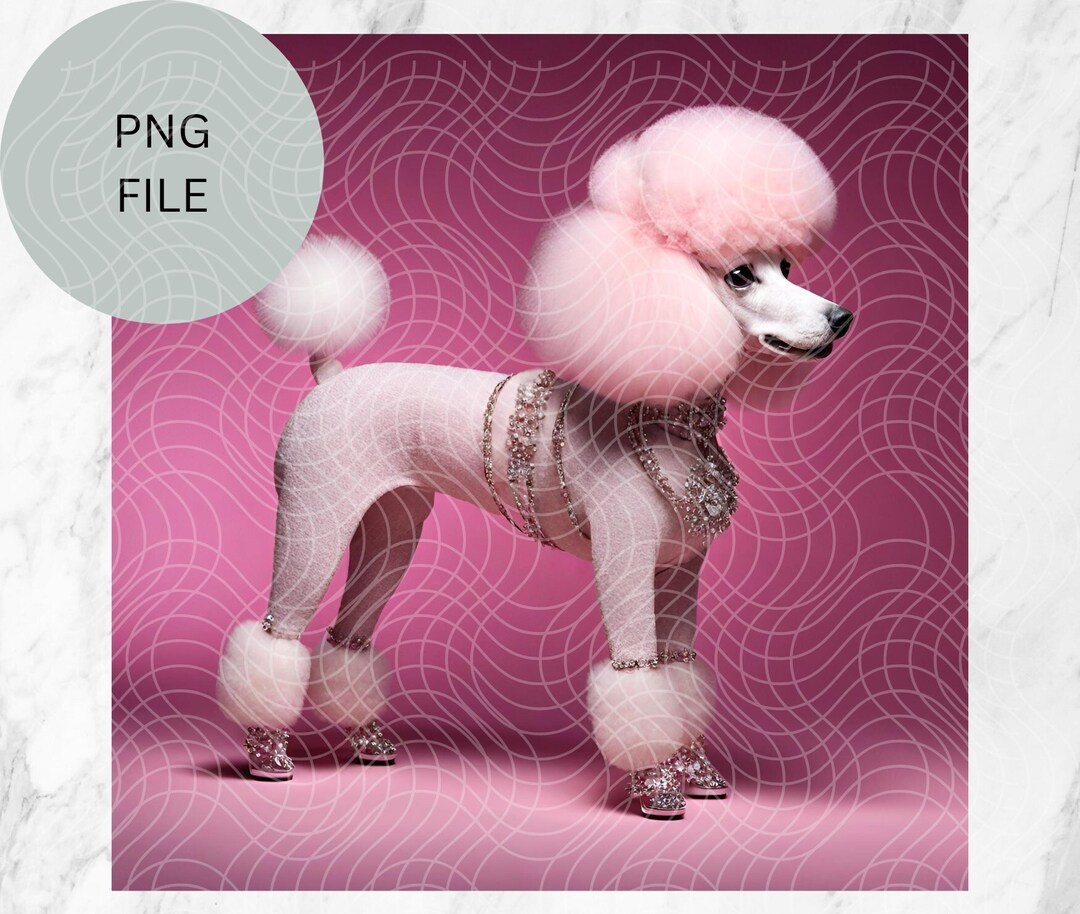 Pink Poodle, Princess Poodle 4 Clip Art Bundle, Poodle Download - Etsy