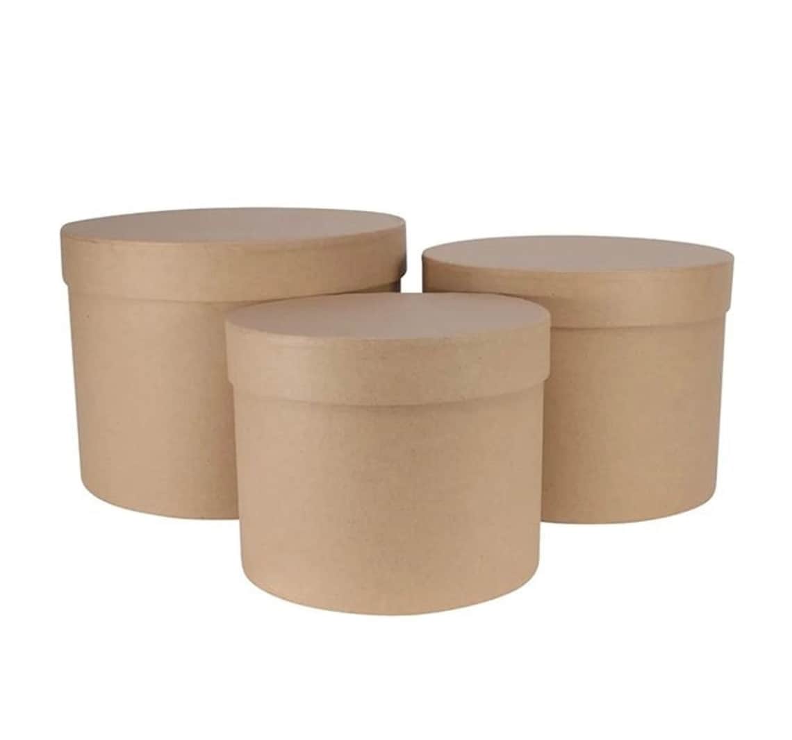 Hat Boxes Set of 3 Round Storage Boxes, Natural Kraft, Designer Flower ...