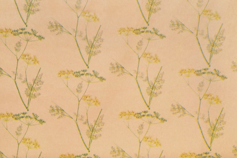 Wrapping Paper Cow Parsley 50CM Wide Eco Friendly, 100% Recycled Kraft ...