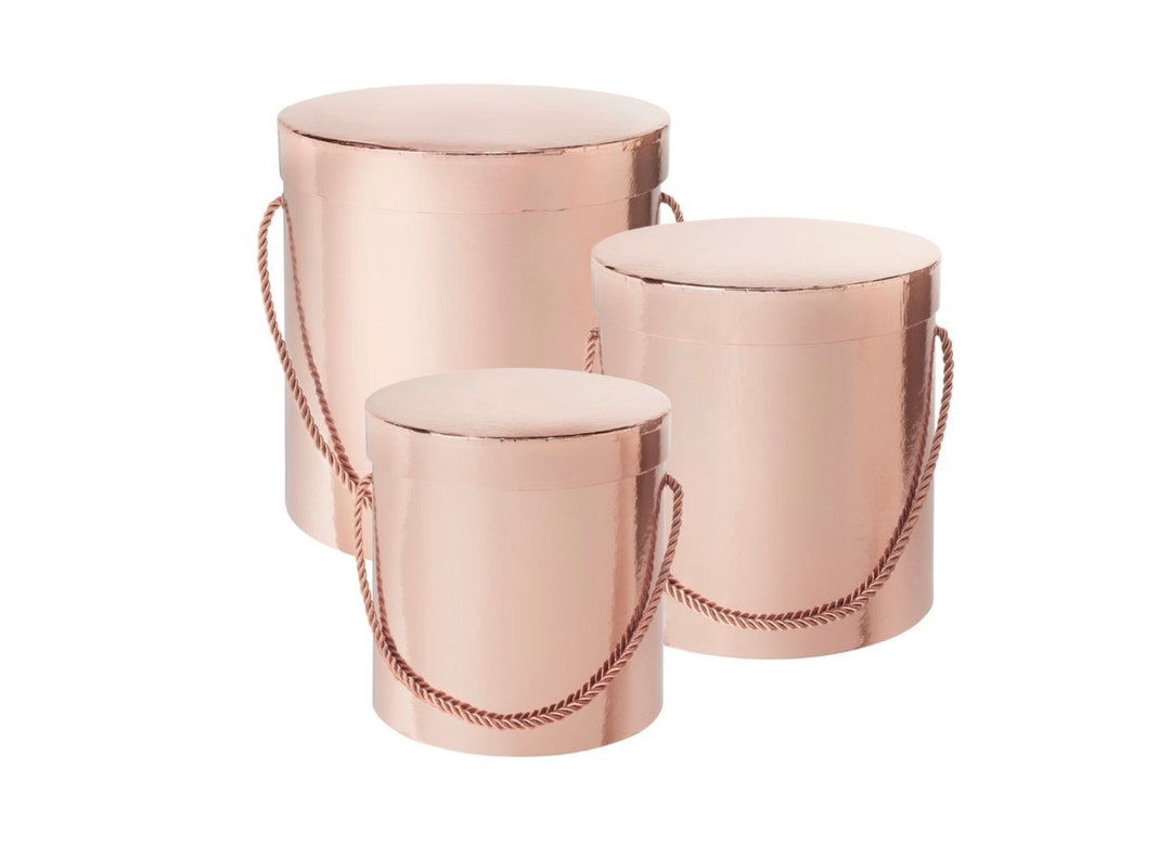 Set of 3 Larger Sized Storage Hat Boxes, Rose Gold, Designer Flower Pot ...