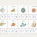 Greek Beginning Sounds Clip Cards Greek Alphabet Printable - Etsy