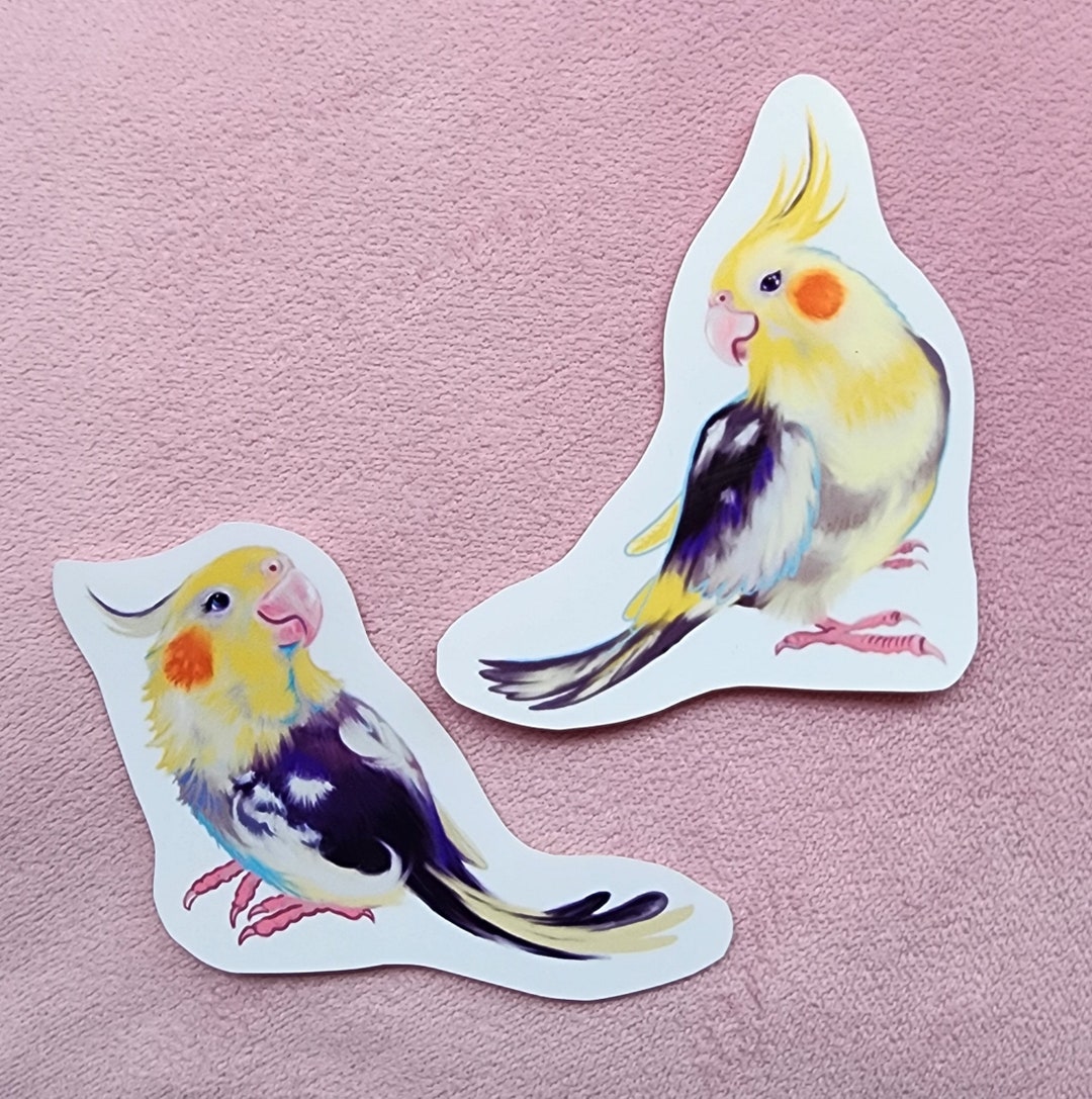 Cute Cockatiel Stickers - Etsy Australia