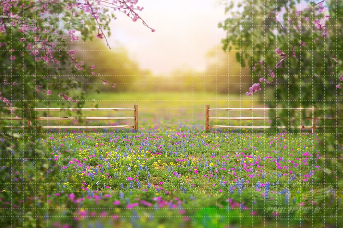 Flower Background Images For Photoshop
