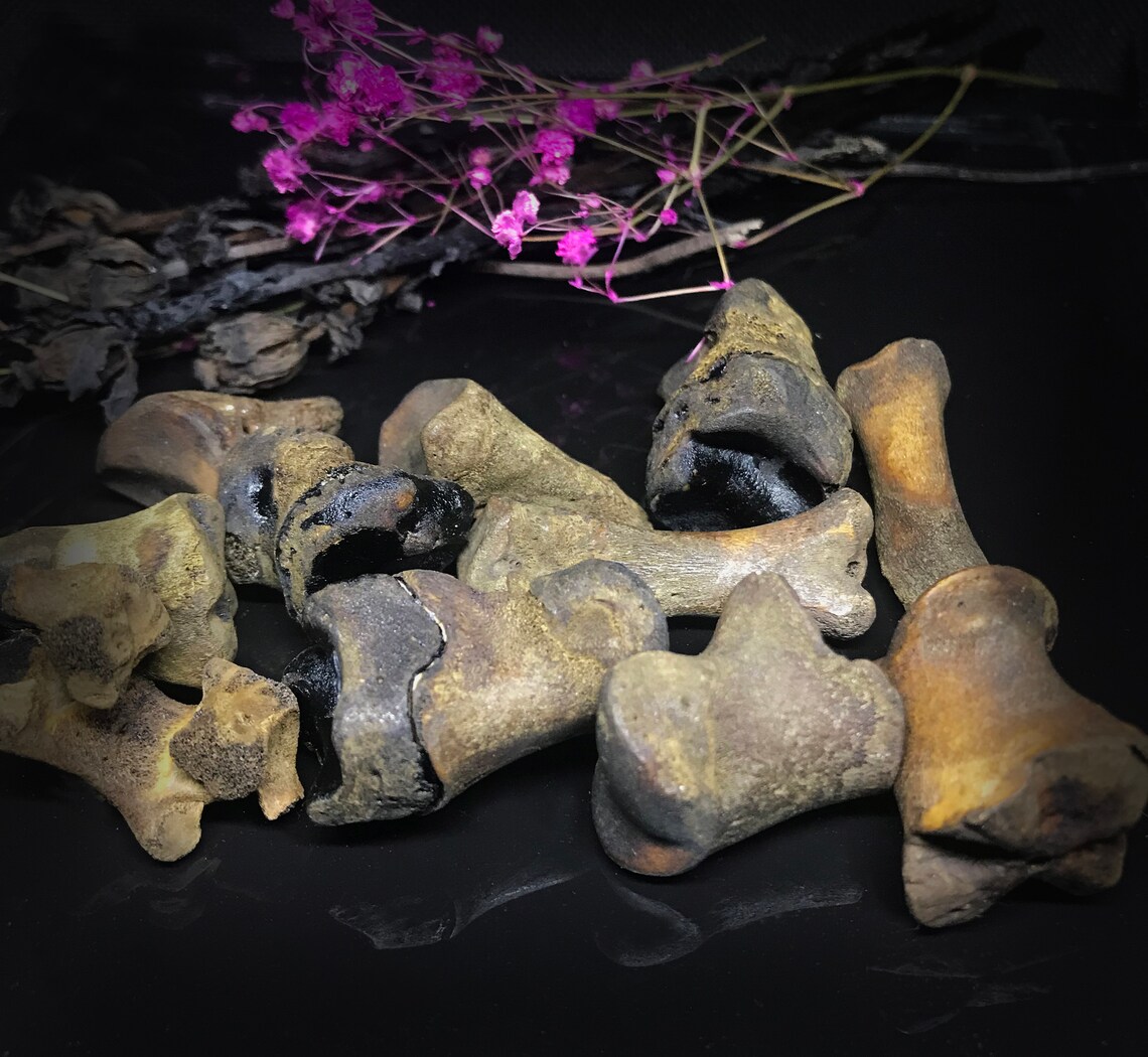 Weird Aged Knuckle Bone Set for Divination Throwing Bones Set Bones for ...
