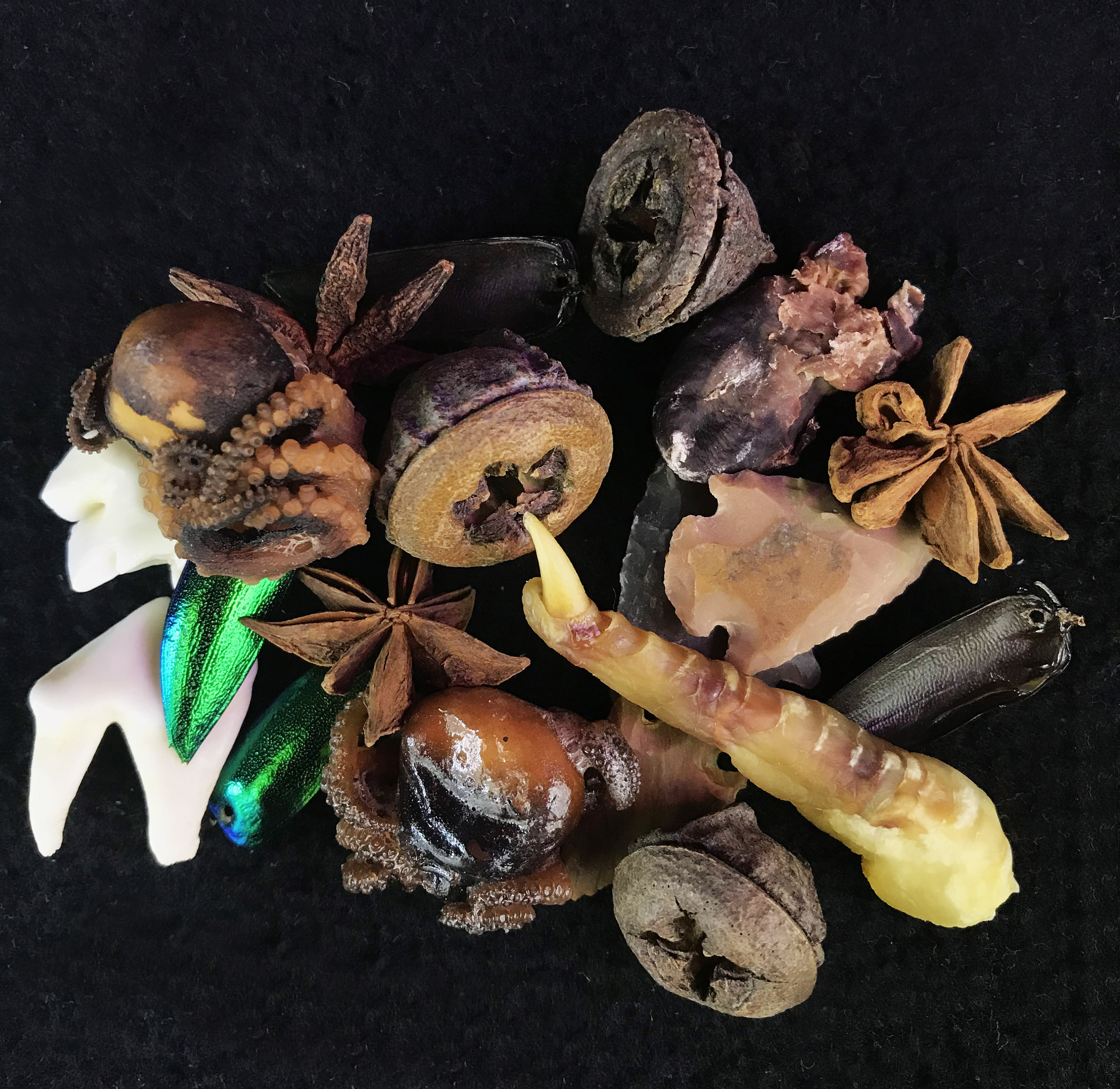 Bone Throwing Set With Guide Divination Mystery Box - Etsy