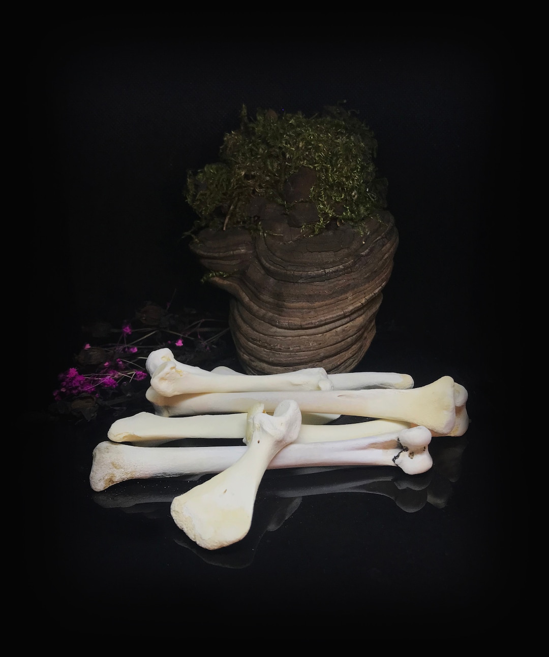 Miniature Bones Set for Divination - Throwing Bones Set - Bones for ...