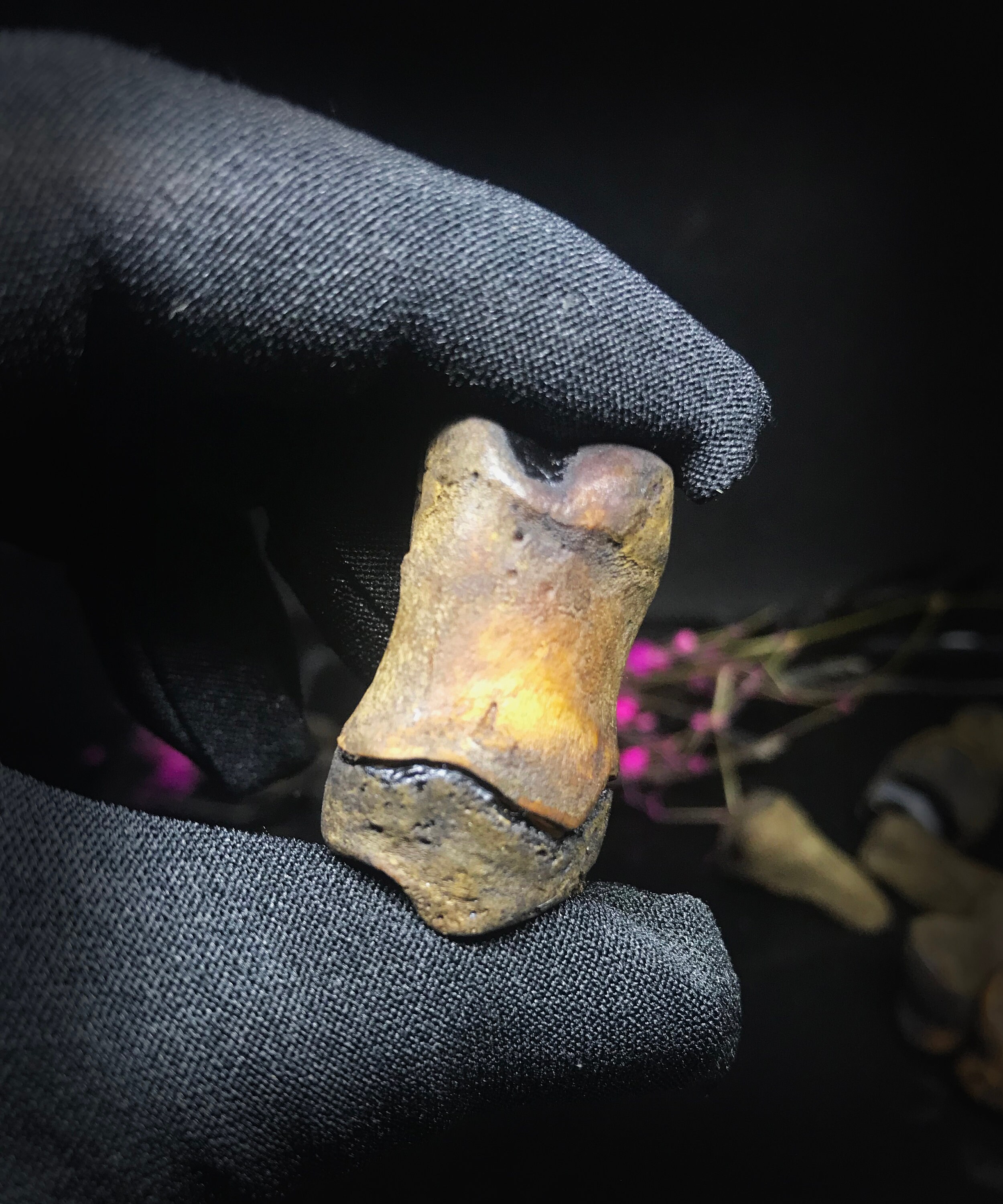 Weird Aged Knuckle Bone Set for Divination Throwing Bones Set Bones for ...