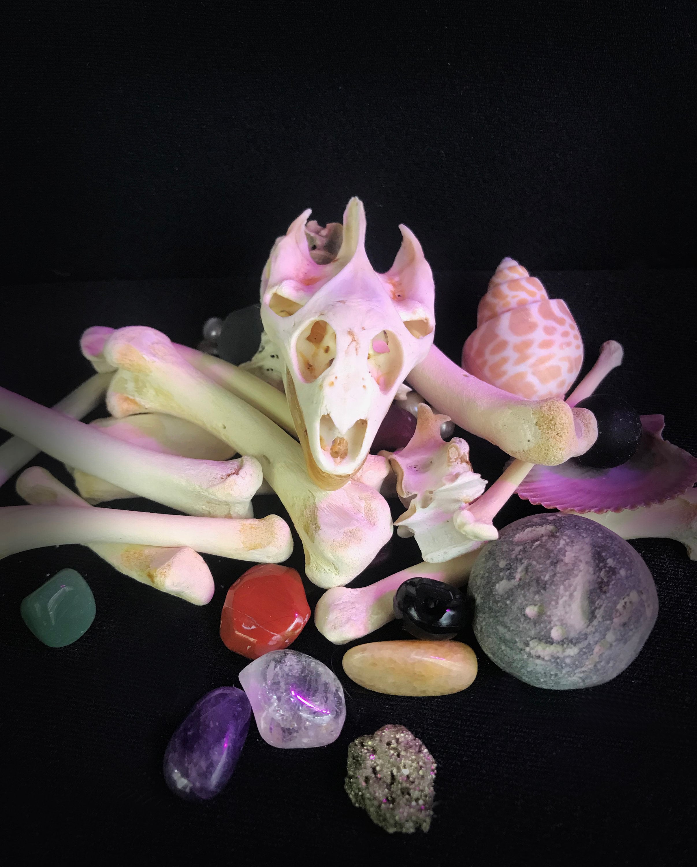 Bone Throwing Set With Guide Divination Mystery Box - Etsy