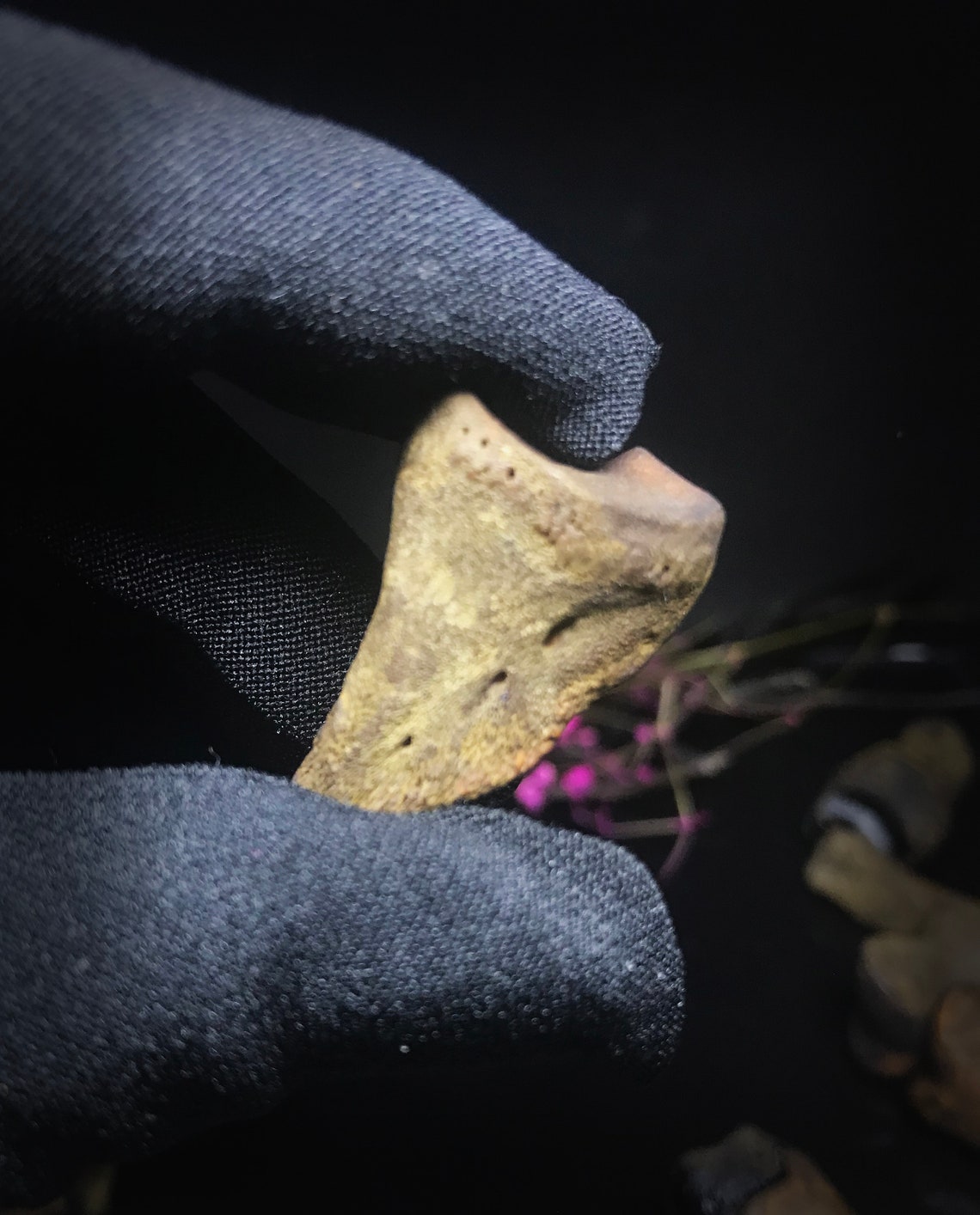 Weird Aged Knuckle Bone Set for Divination Throwing Bones Set Bones for ...