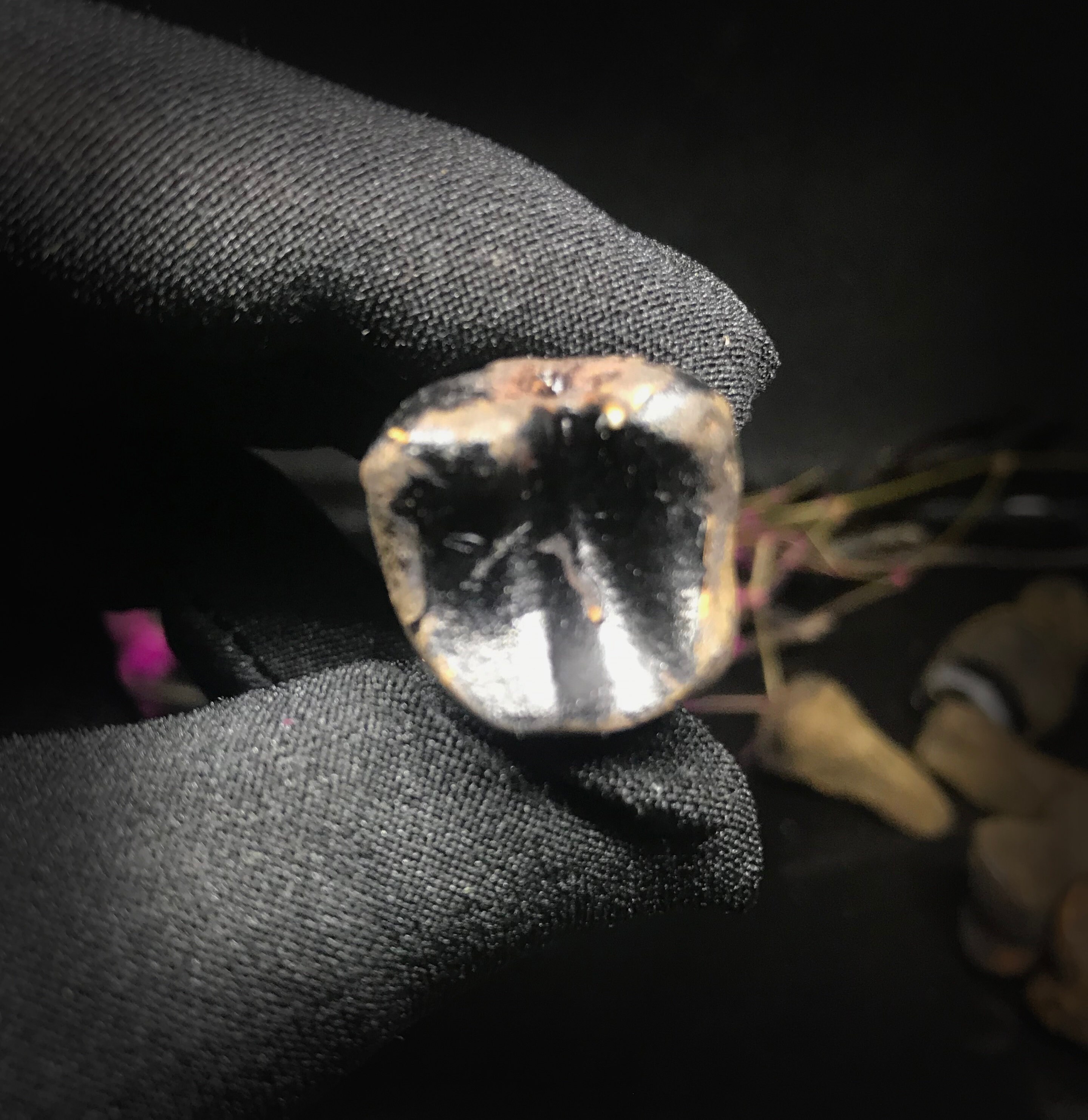 Weird Aged Knuckle Bone Set for Divination Throwing Bones Set Bones for ...