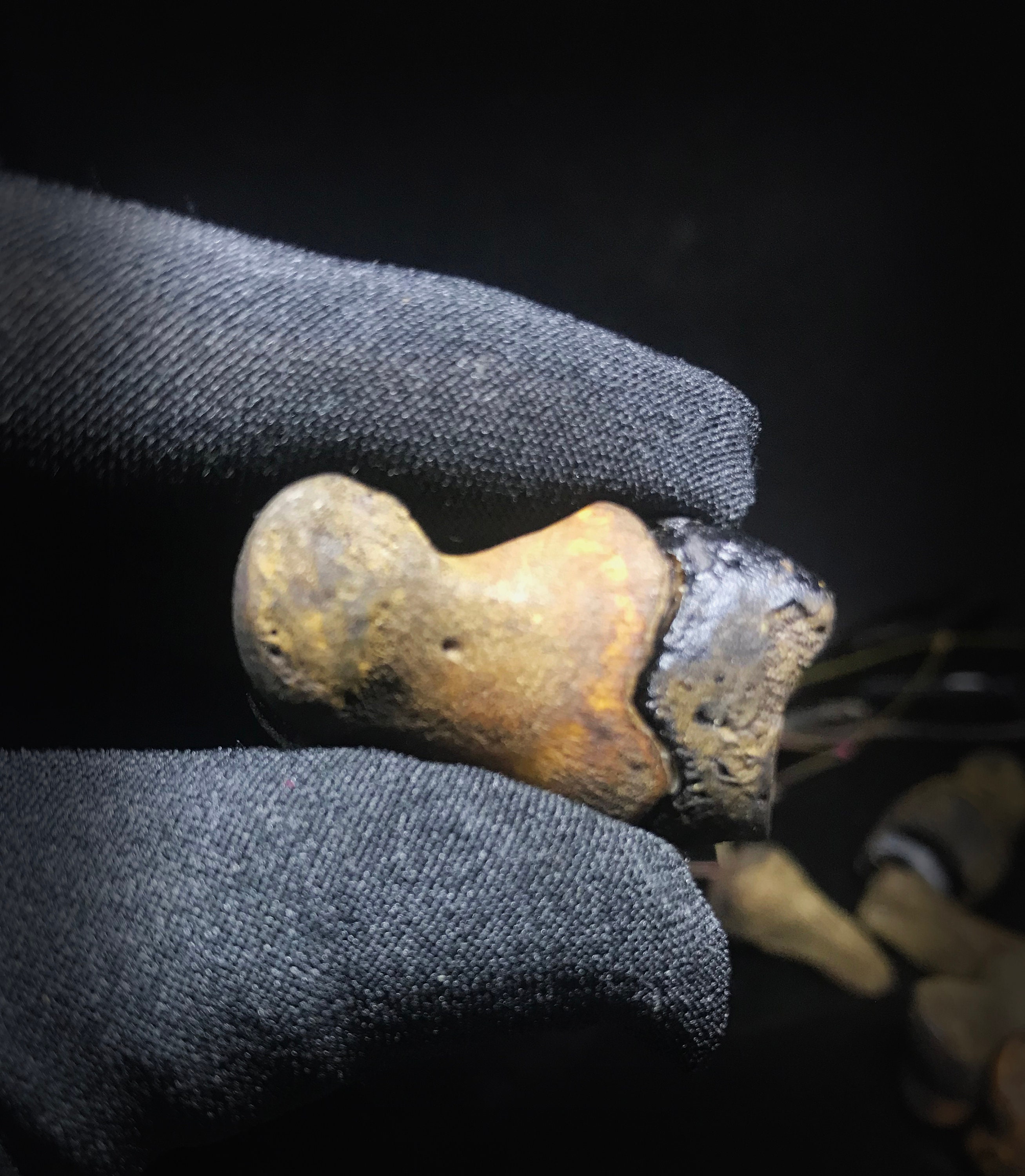 Weird Aged Knuckle Bone Set for Divination Throwing Bones Set Bones for ...