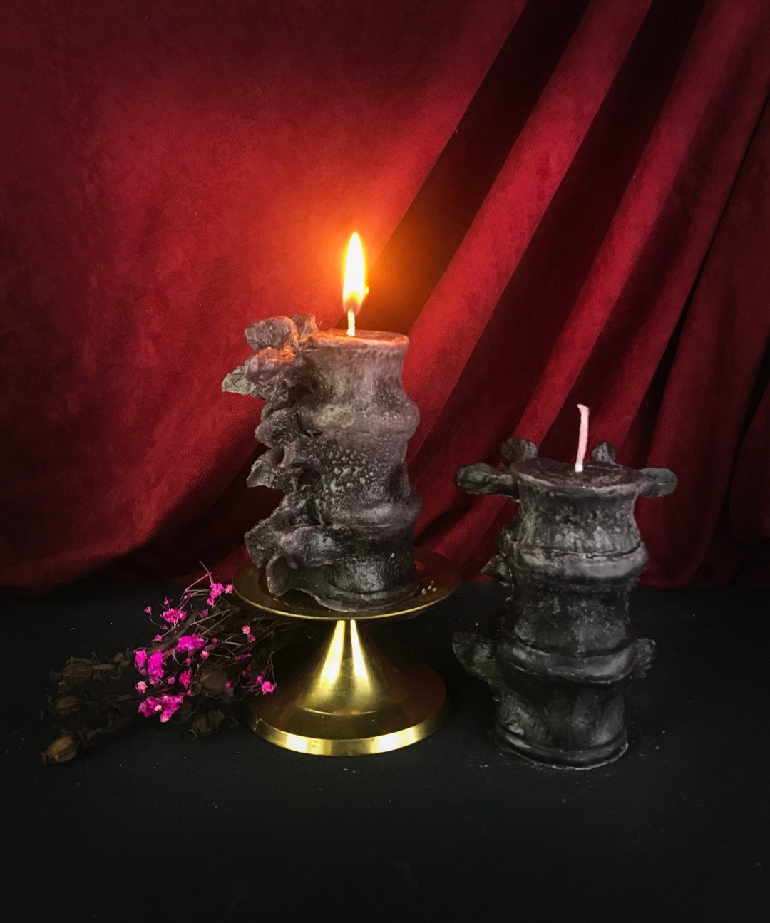 Large Human Spine Candle - Realistic Spine Candle - Gothic Décor ...