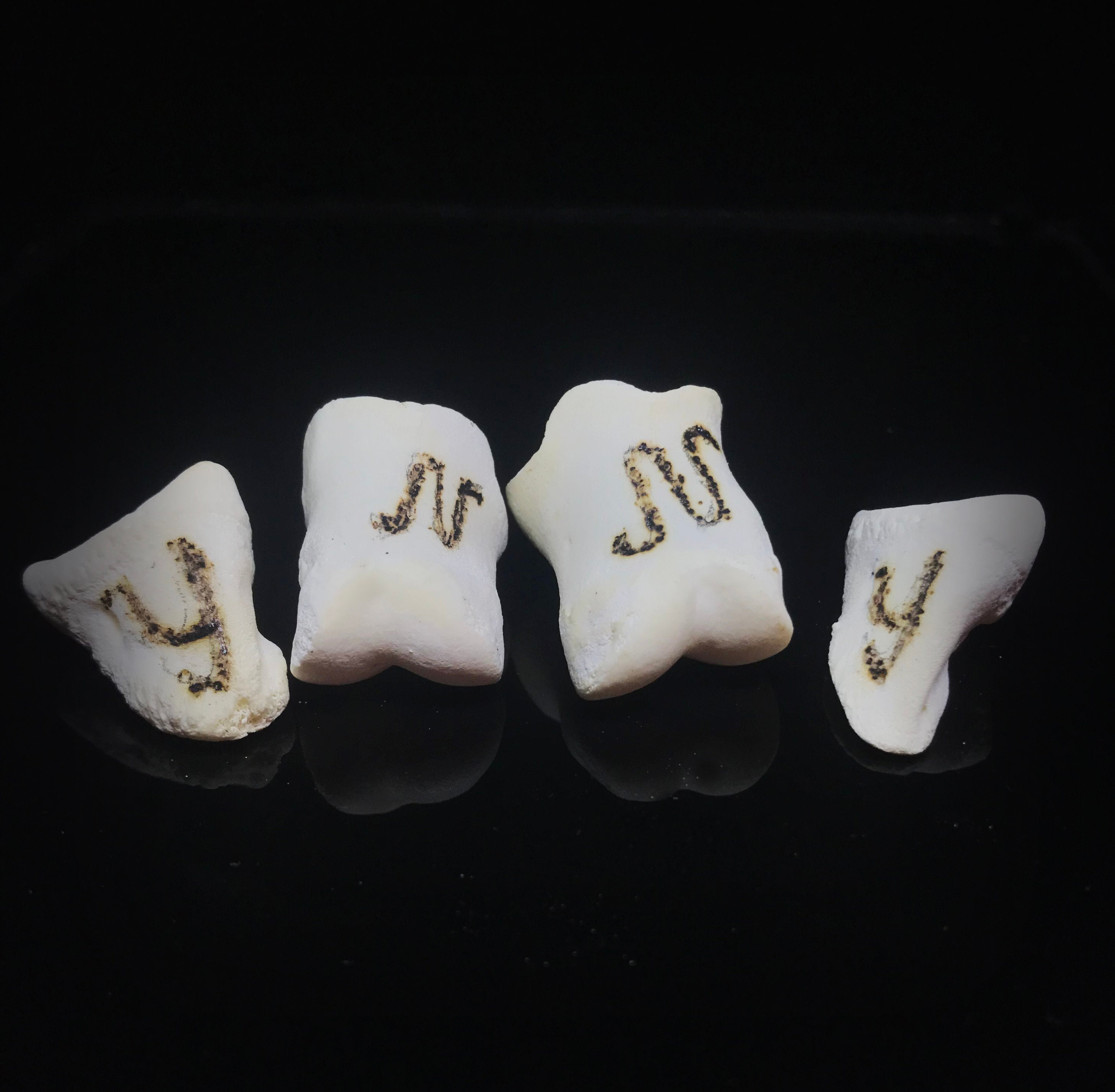 Bone Throwing Set With Guide Divination Mystery Box - Etsy