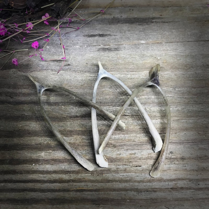 Bones - Etsy