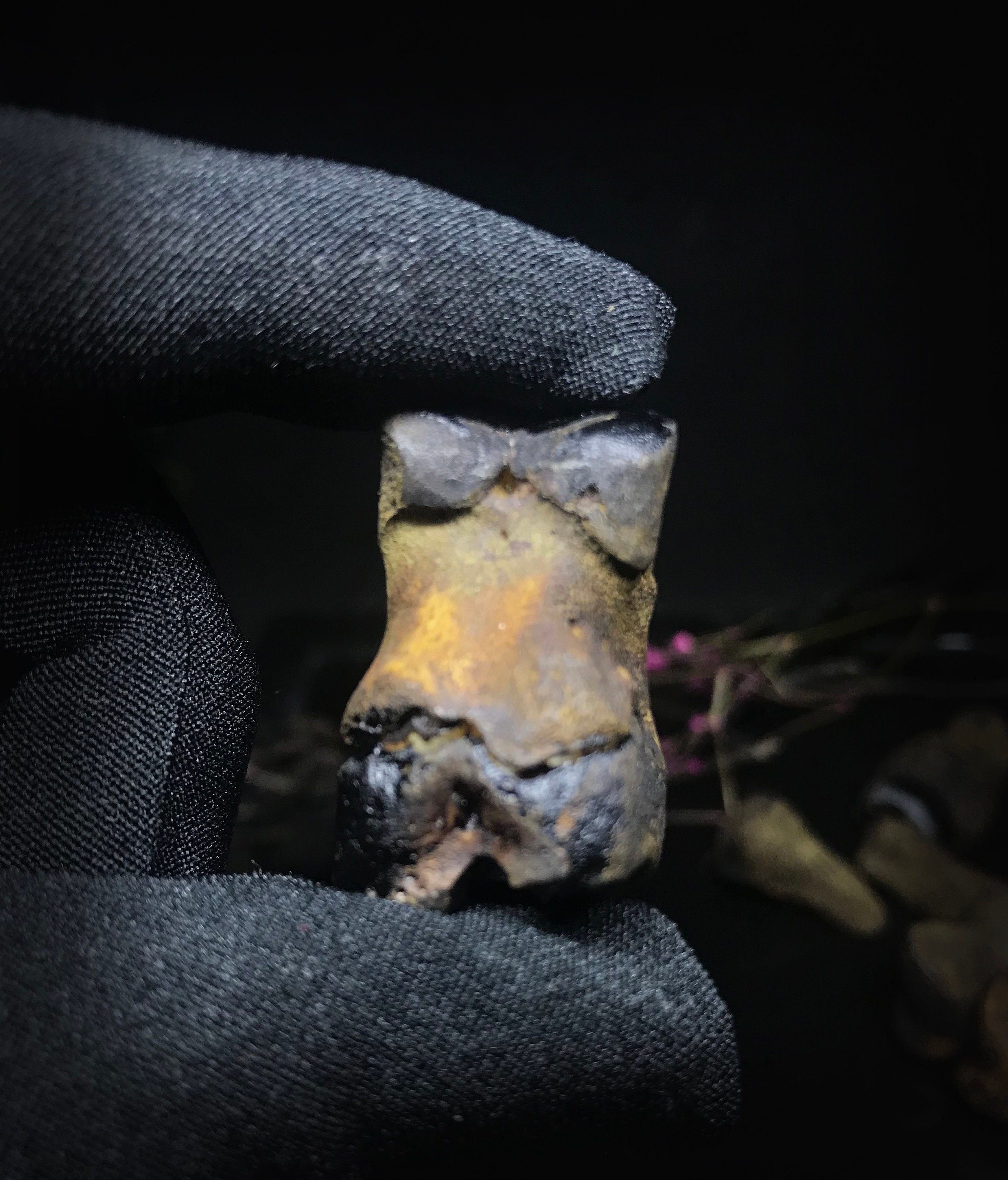 Weird Aged Knuckle Bone Set for Divination Throwing Bones Set Bones for ...